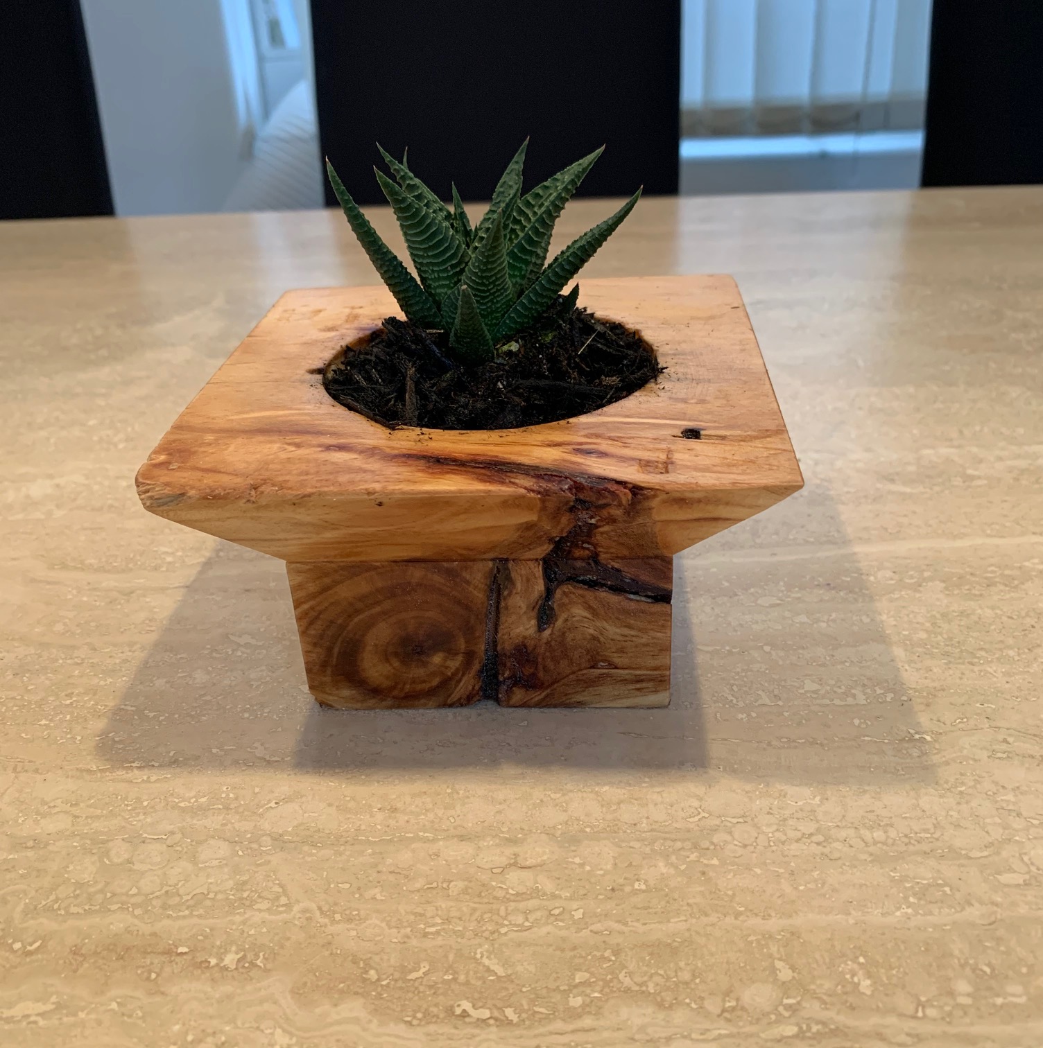 P422 – Flower Pot – I Used to be a Pallet